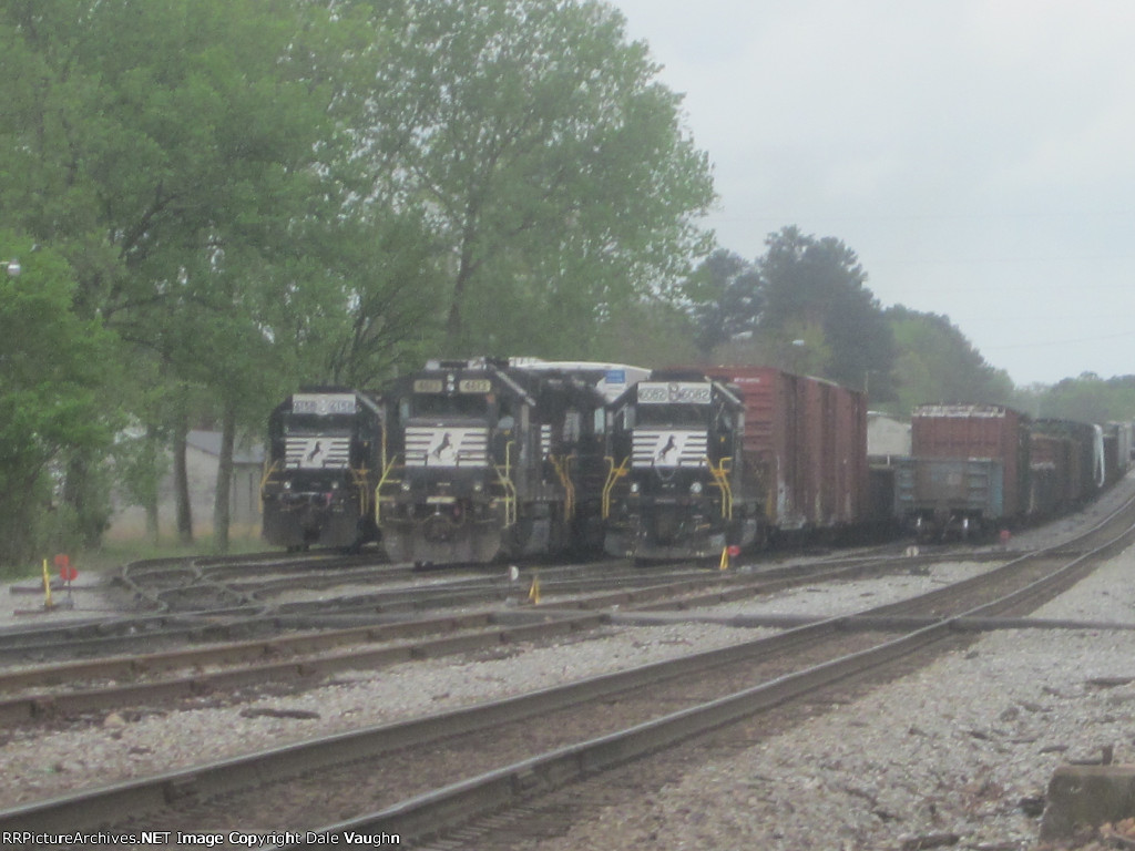 NS 6082 & NS 4613 & NS 6158